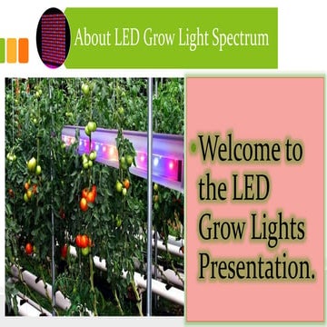 Horticultural LED Grow Lights form Lumen Electronics | PPTX