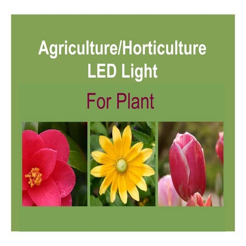 Led Light For Agriculture Horticulture | PDF