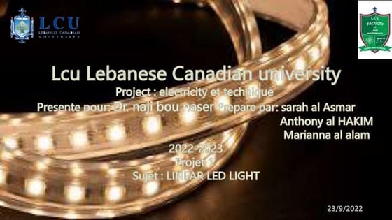 NEW Lithonia OLB LED Floodlight | PDF