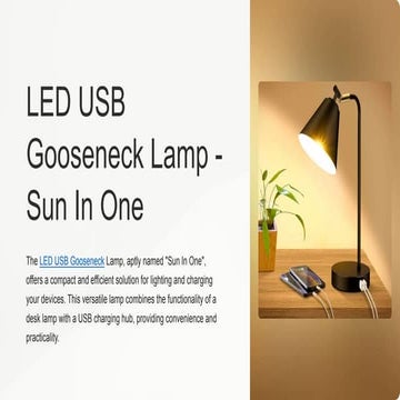 LED USB Gooseneck Lamp - Sun In One Wilmington | PPTX