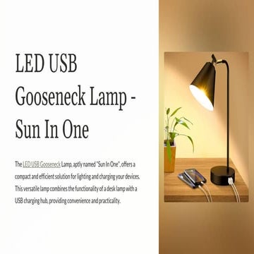 LED USB Gooseneck Lamp in Wilmington - Sun-In-One™ | PDF