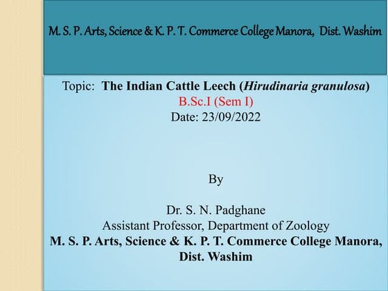 Hirudinaria - ppt -indian cattle leech,, | PPTX | Biological Sciences ...