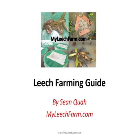 Leech Farming Guide | PPT