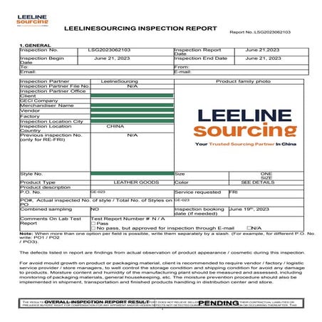 LeelineSourcing Product INSPECTION REPORT EXAMPLE.pdf