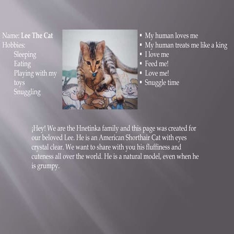Lee the cat | PPSX | Cats | Pets