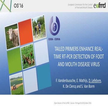 OS16 - 4.P4.c Tailed Primers Enhance Real-Time RT-PCR Detection of FMD ...