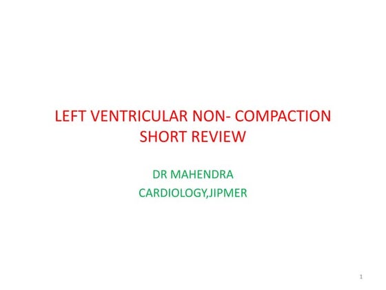Noncompaction Cardiomyopathy, NGUYEN TUAN VU, NGUYEN THI KIM SANG ...