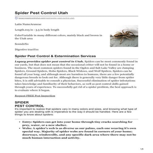 Spider Pest Control & Extermination Services | PDF