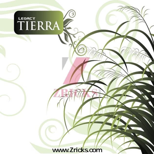 Skyi Manas Lake Brochure - Zricks.com