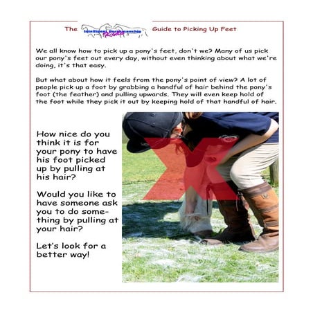 Understanding ponies | PDF