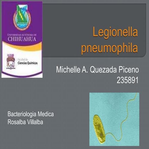 Lecture 24 Legionella | PPT