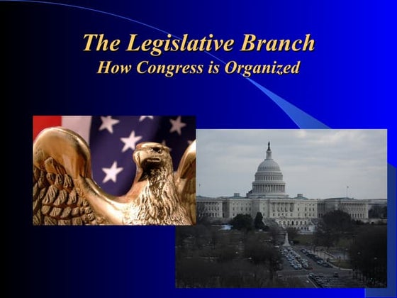 The Legislative Branch | PPT | Civic affairs | Politics