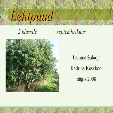 Lehtpuud | PPT