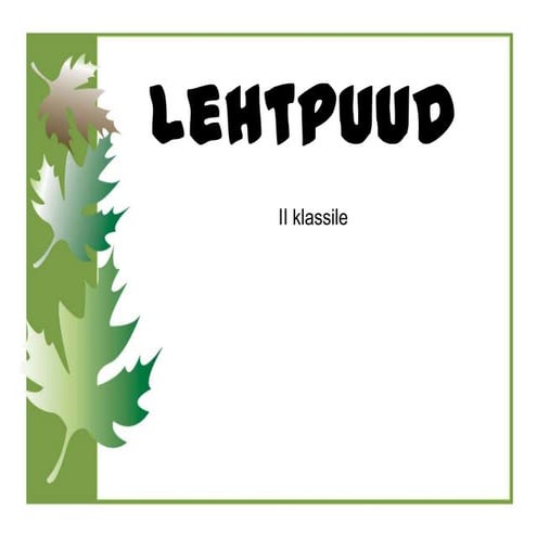 Lehtpuud | PPTX