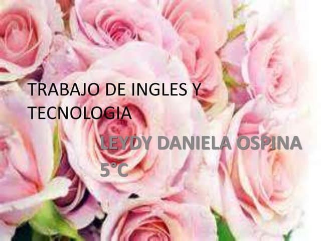 Leidy Daniela