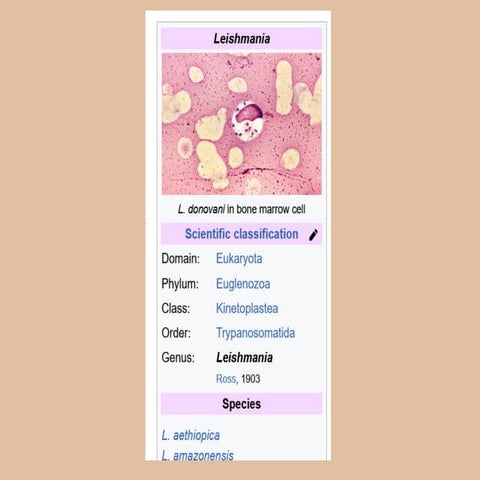 leishmaniasis a vector born Public health Diseases | PPT