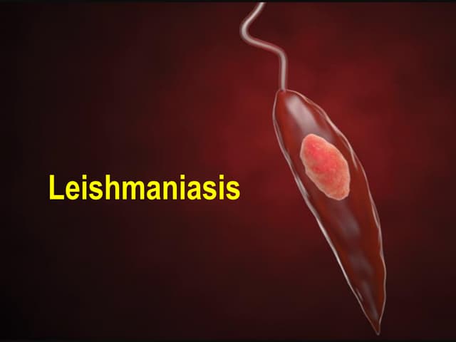 Leishmaniasis.pptx