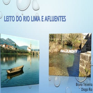 Leito do rio lima e afluentes | PPTX