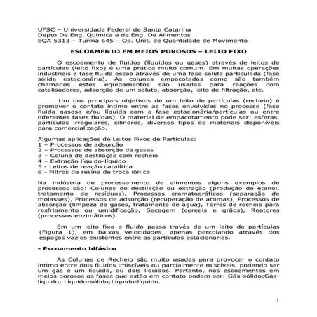 Leito fixo | PDF