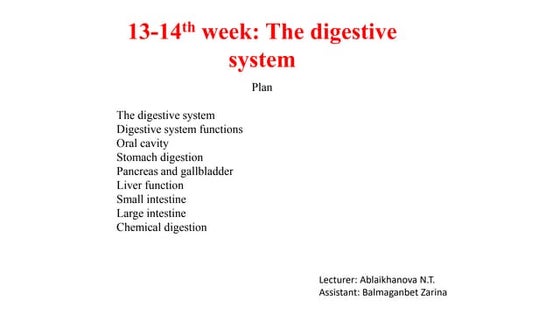 Introduction of gastrointestinal tract | PDF | Digestive Disorders ...