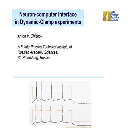 Neuron-computer interface in Dynamic-Clamp experiments | PPT