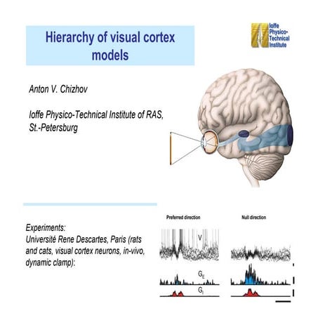 Hierarchy of visual cortex models | PDF | Home Entertainment Systems | Consumer Electronics