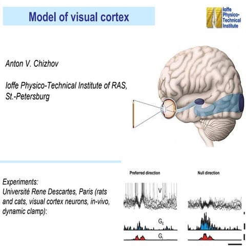 Model of visual cortex | PPT