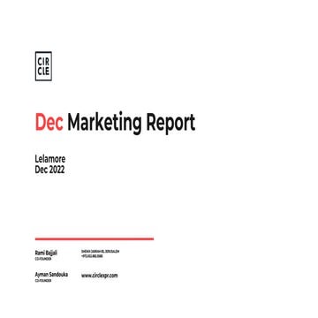 Lelamore Dec - Report.pptx