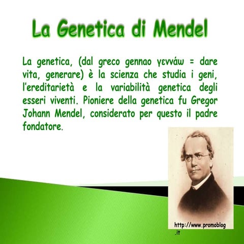 Le leggi di Mendel Rosaria Ruggirello 3G | PPTX