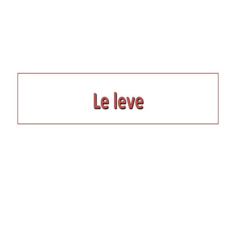 Le leve | PDF