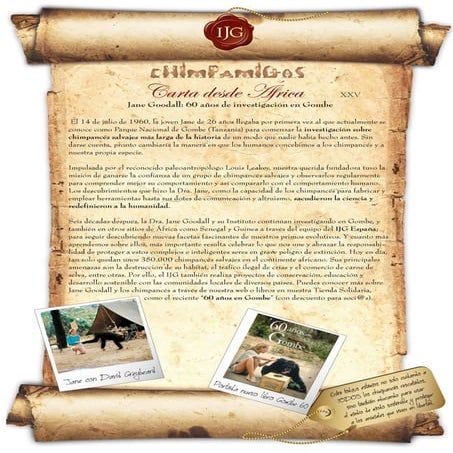 Informe chimpamig@s Lemba | PDF