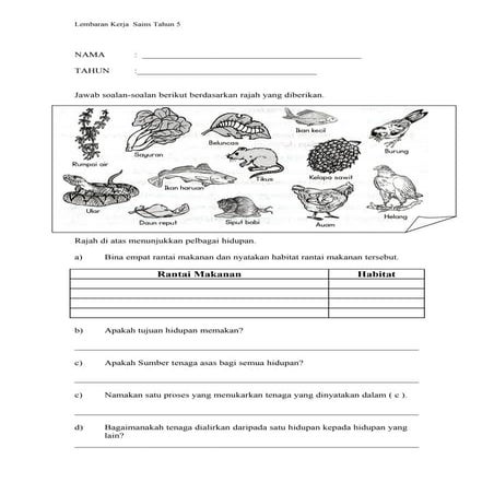Sains Tahun 6: Unit 4 Interaksi Antara Hidupan | PDF
