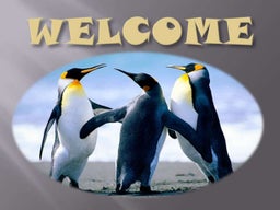 Le Meridian Presentation | PPT