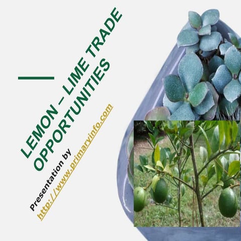 Lemon trade-opportunities | PPTX
