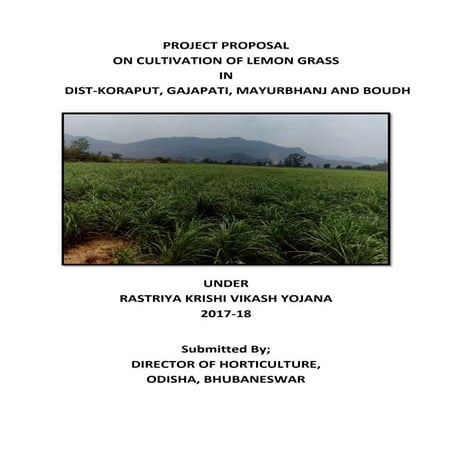 Lemon Grass Project.pdf