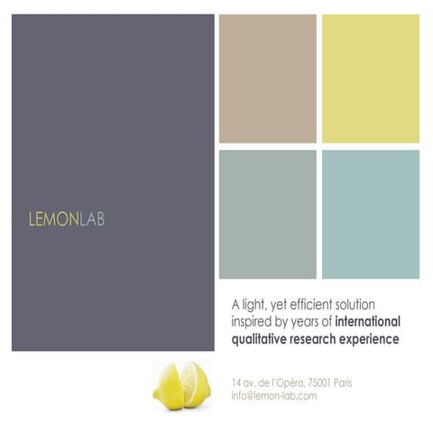 Lemon Lab Brochure 12 | PDF