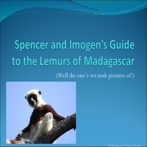 Lemurs of Madagascar | PPT