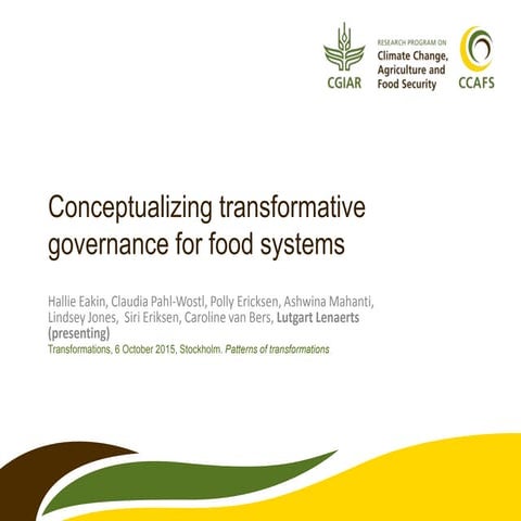 Conceptualizing transformative governance for food systems | PPTX