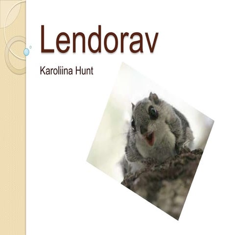Lendorav | PPTX
