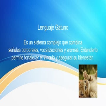 Conociento un poco más el lenguaje gatuno | PPTX