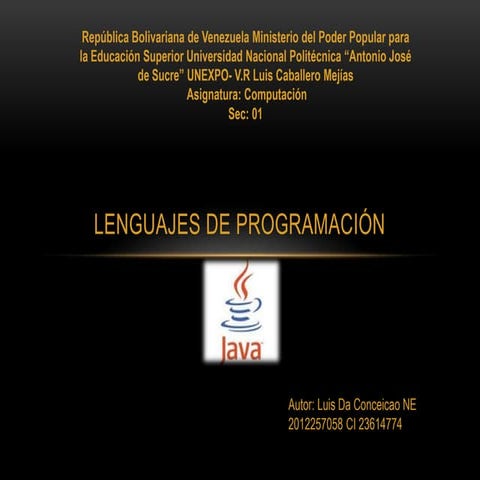 Lenguajes de programacion | PPTX