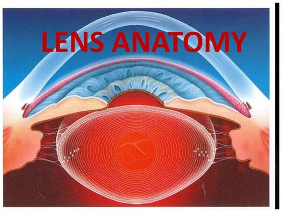 Anatomy of crystalline lens by Dr. Aayush Tandon | PPTX | Eye and ...