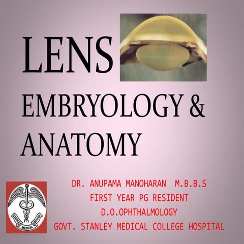 Lens | PPT