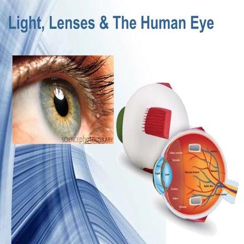 Light, Lenses & the Human Eye | PPT