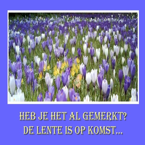 Zomerwensen | PPT
