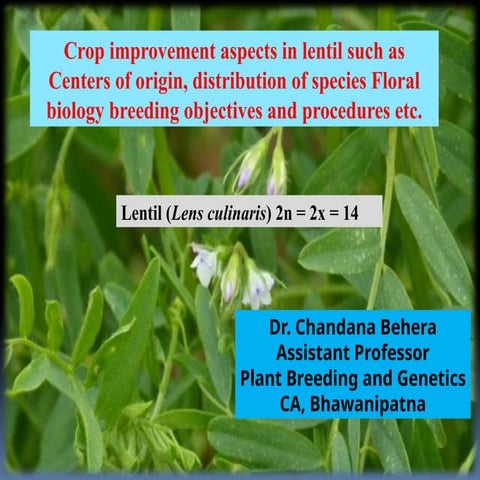 Crop Production Technology-II Lentils.pptx