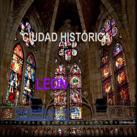 Leon | PPSX