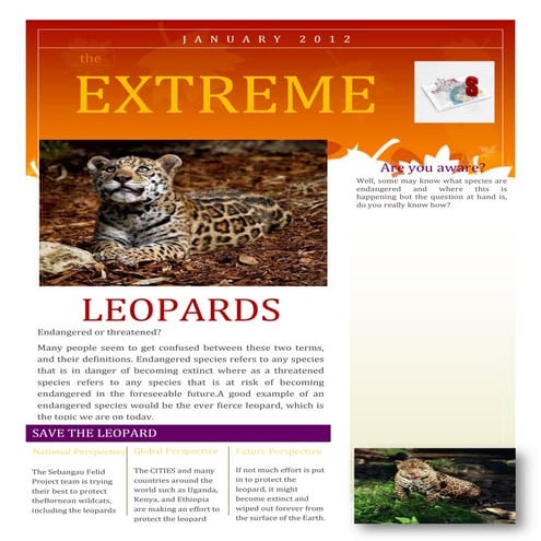 Leopard project | DOCX