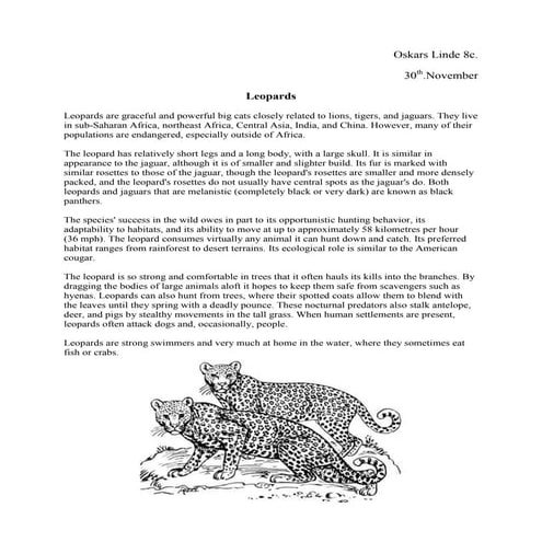 Leopards | DOCX