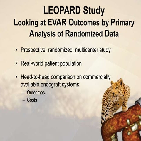 Leopard study | PPT